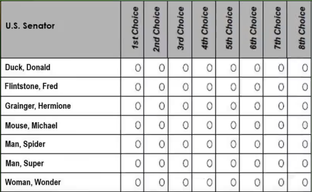 Ranked Voting Ballot